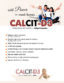 Calcit | Calcium Citrate+ Zinc+ Magnesium+ Vit.D3 200 iu